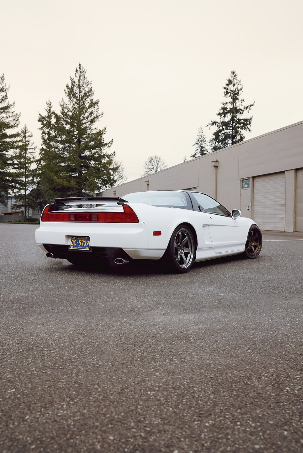 BACK YARD SPECIAL NSX REAR SPOILER – Renegade Motorsports